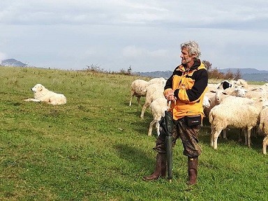 Il Pastore chiama le sue pecore, ciascuna per nome, e le conduce fuori ...